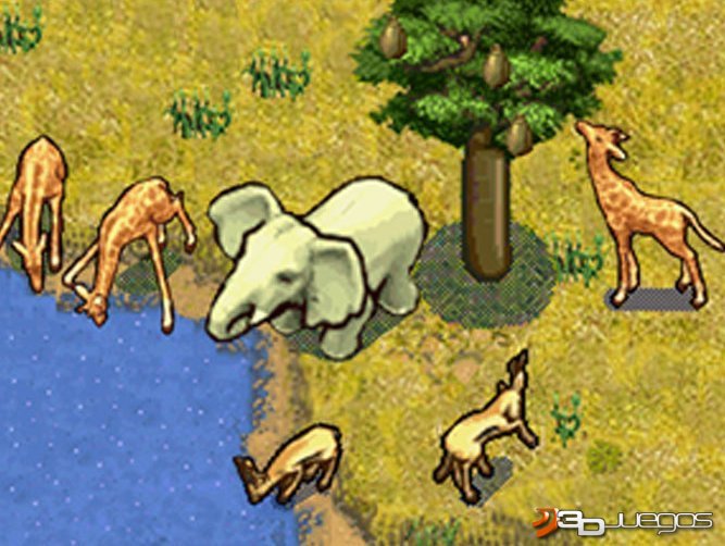SimAnimals Africa para DS - 3DJuegos